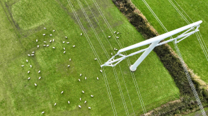 National Grid celebrates completing T-pylon route through Somerset to ...